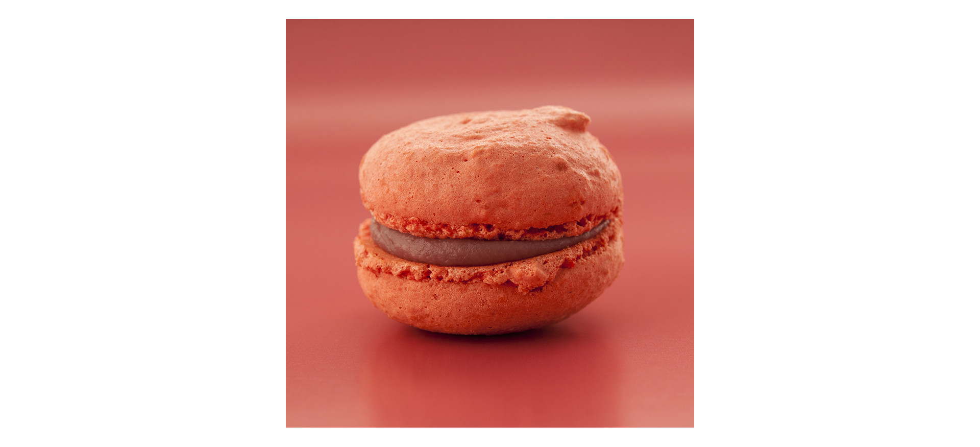 Macaron Framboise
